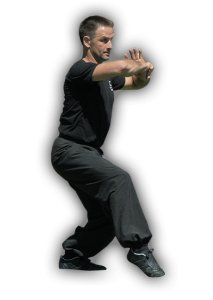 White Crane Fighting Arts - Chinese Martial arts training - Kung fu club